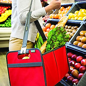 meori Carrying Handle Accessory, Small & Medium Box