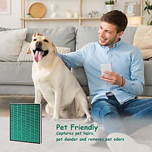 Asheviller Airmega 250/250S Filter Replacement, Compatible with Coway Airmega 250S and Coway Airmega 250 Air Purifier, Max 2 Green True HEPA and Active Carbon Filter, 2 Pack