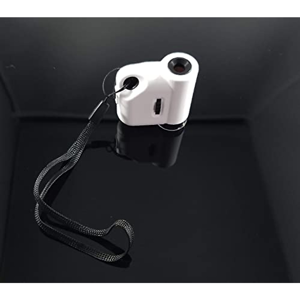 Westminster World's Smallest Microscope