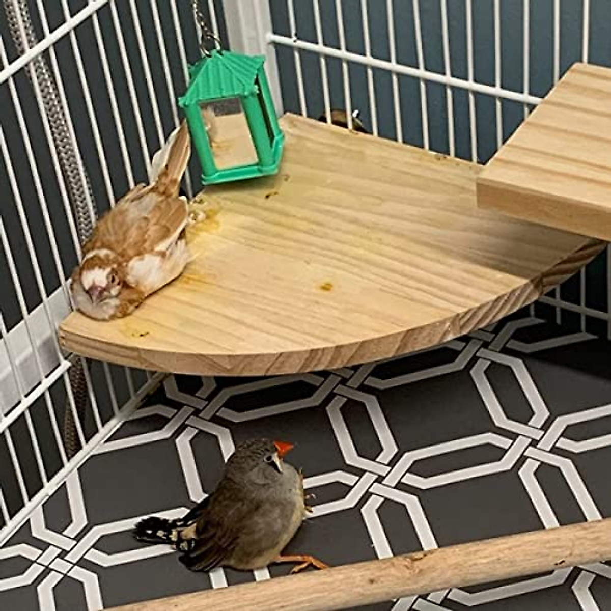 KYHSOM 2 Pack Bird Perch Platform, Wood Perch Bird Platform Parrot Stand Playground Cage Accessories for Small Animals Parrot Parakeet Conure Cockatiel Budgie Gerbil Rat Mouse Chinchilla