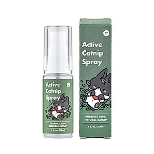 Active Catnip Spray - High Potency Transparent Liquid Spray made of Fresh Organic Catnip for Indoor Cats and Kittens, Relieves Stress, Calming, Revives Toys & Scratching Posts, Exercise (1fl oz)