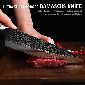 hecef 8 Inch Chef Knife Damascus Professional Japanese Knife, High Carbon Damascus Stainless Steel Kitchen Knife with Ergonomic Olive Wood Handle, Sharp Cooking Knife