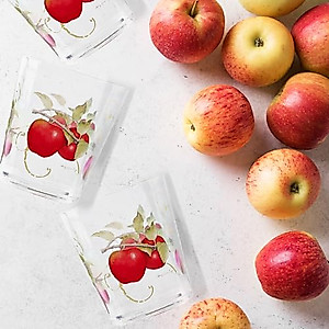 Reston Lloyd Drinkware Harvest Apple Collection by Sandy Clough Acrylic Stemless Wine Glasses, 16-Ounce, Set of 4, 16 oz, Clear