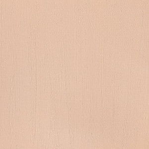 Winsor & Newton Professional Acrylic Paint, 60ml (2-oz) Tube, Burnt Sienna