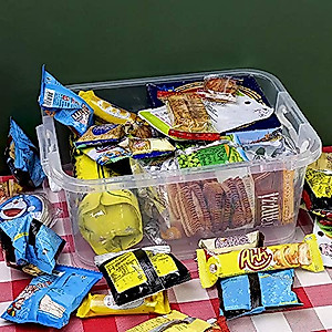 Sandmovie 8 Quart Plastic Storage Boxes with Lids and Handles, 2 Packs