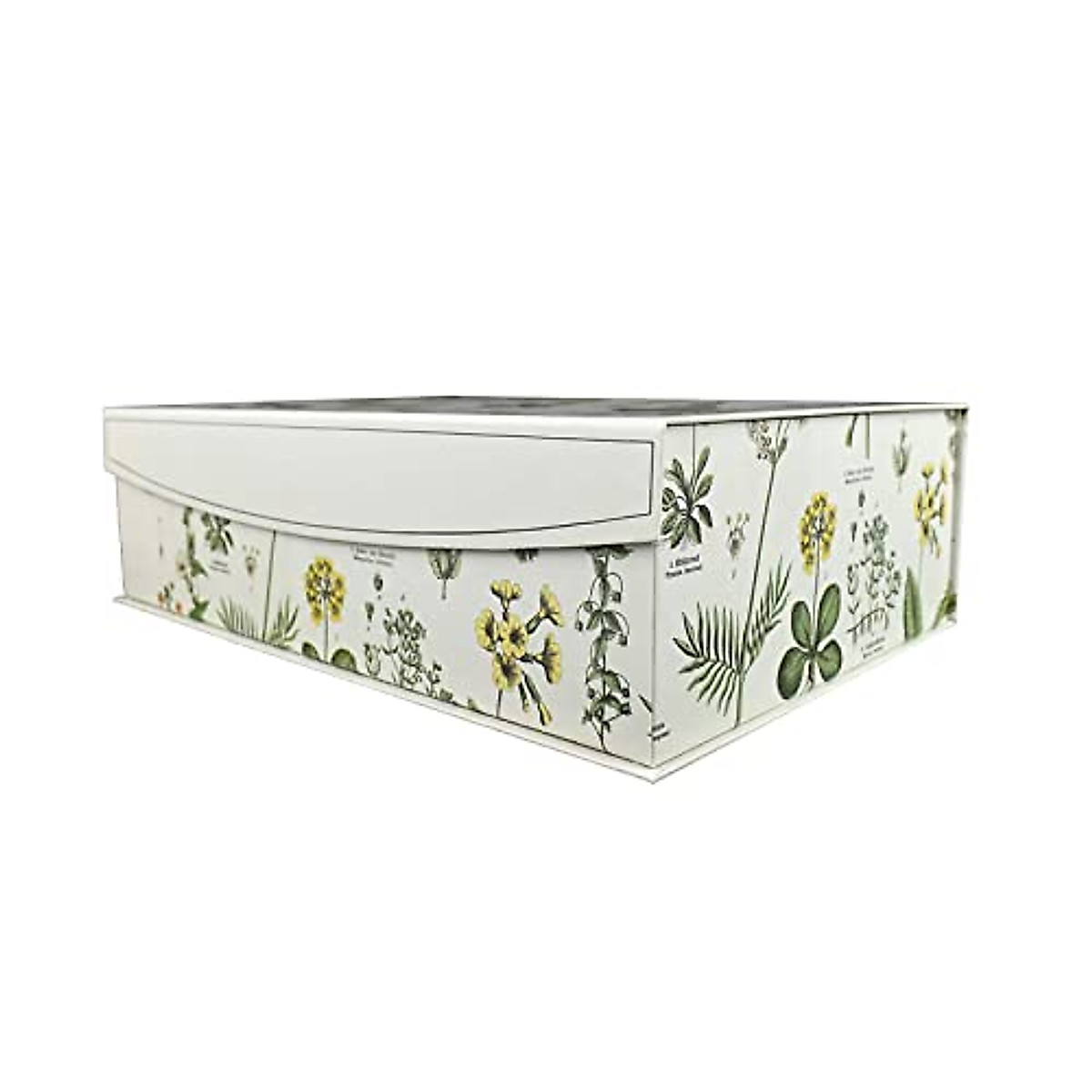 Ashland MICHAELS 14.5”; Botanical Decorative Storage Box