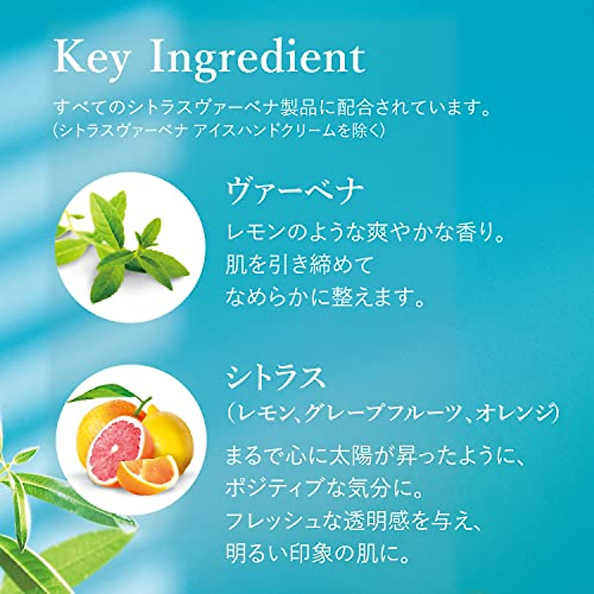 L'Occitane Citrus Verbena Hand Cream Gel, 1 oz