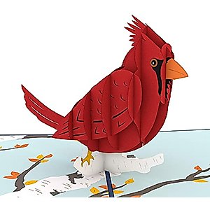 Lovepop Cardinal Pop Up Card, 5x7-3D Greeting Card, Animal Card for Every Occasion - Birthday, Sympathy, Anniversary, Thinking of You
