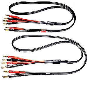 CESS-106-3f Bi-Wire Banana Plug Splitter Speaker Cable, 2 Banana Plugs to 4 Banana Plugs, 12 Gauge, 2-Channel (3 Feet)