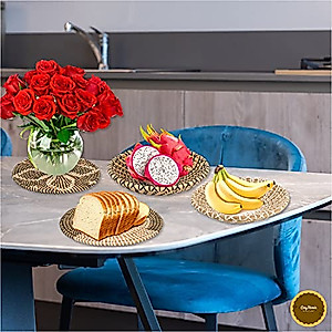 CozyHomie Large Seagrass Baskets Hanging Wall Basket Decor Boho Wall Decor Hanging Woven Wall Basket Boho Round Wicker Rattan Baskets Boho Woven Flat Baskets (Set 4 of Cozy Full)