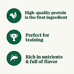 NUTRO Mini Bites Dog Treats Peanut Flavor, 8 oz. Bag