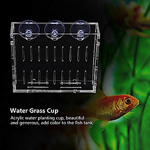 Exquisite Transparent Water Grass Cup, Safe 3 Suction Cups Design Aquarium Plant Cup, Tank Aquarium Aquarium Tank Decor for Landscape Plants Cultivation