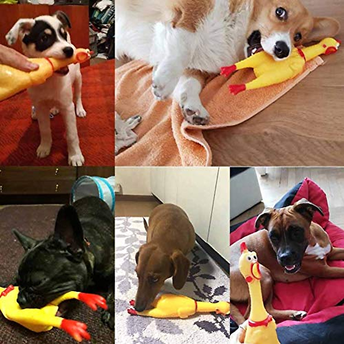 POPLAY Rubber Chicken/Squeeze Chicken, Prank Novelty Toy Keep Your ...