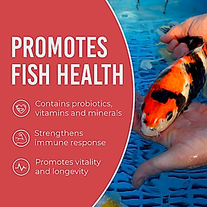 Blue Ridge Koi Fish Food 2lb - Koi Food Mini Growth Formula Goldfish Food, Premium Fish Food for Ponds, Ponds Fish Food, Koi Food Fall and Winter Fish Food, Floating Pond Pellets Fish Food