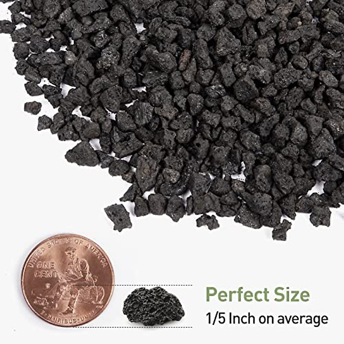 GASPRO 2.5lbs Lava Rocks for Plants, 1/5 Inch Black Gravel for Succulent, Cactus, Bonsai Tree, Pure Volcanic Rocks, Top-Dressing, Good Drainage