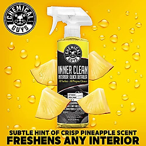 Chemical Guys CLD_202_16 Signature Series Glass Cleaner (16 oz) and Chemical Guys SPI_663_16 InnerClean Interior Quick Detailer and Protectant (16 oz) Bundle