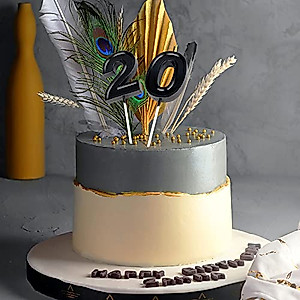 LUTER 2.76 Inch Number Birthday Candles, 3D Diamond Shape Birthday Cake Candles Cake Topper Decoration for Wedding Anniversary Graduation Party Kids Adults (Black)(2)