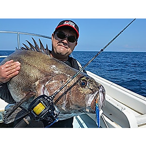 Abu Garcia REVO SALTY STAGE LJ-4 [Japan Import]