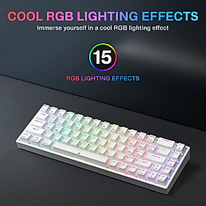 TECURS 65% Wireless Gaming Keyboard, 68 Keys RGB Backlit Ultra Compact Mechanical Feeling Keyboard - Red Switch, 2.4G/Type-C/Multi-Device Bluetooth Keyboard for PC Mac Windows Gamer