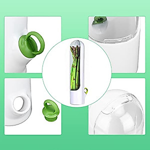 plplaaobo Herb Keeper, Freshest Herb Savor Fridge Organizer, Herb Storage Cilantro Containers for Refrigerator, Savor Keeps Greens Preserver for Cilantro, Parsley, Basil, Chives, Mint for 2-3 Weeks