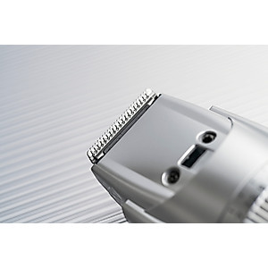 Panasonic Wet and Dry Hair and Beard Trimmer - Silver