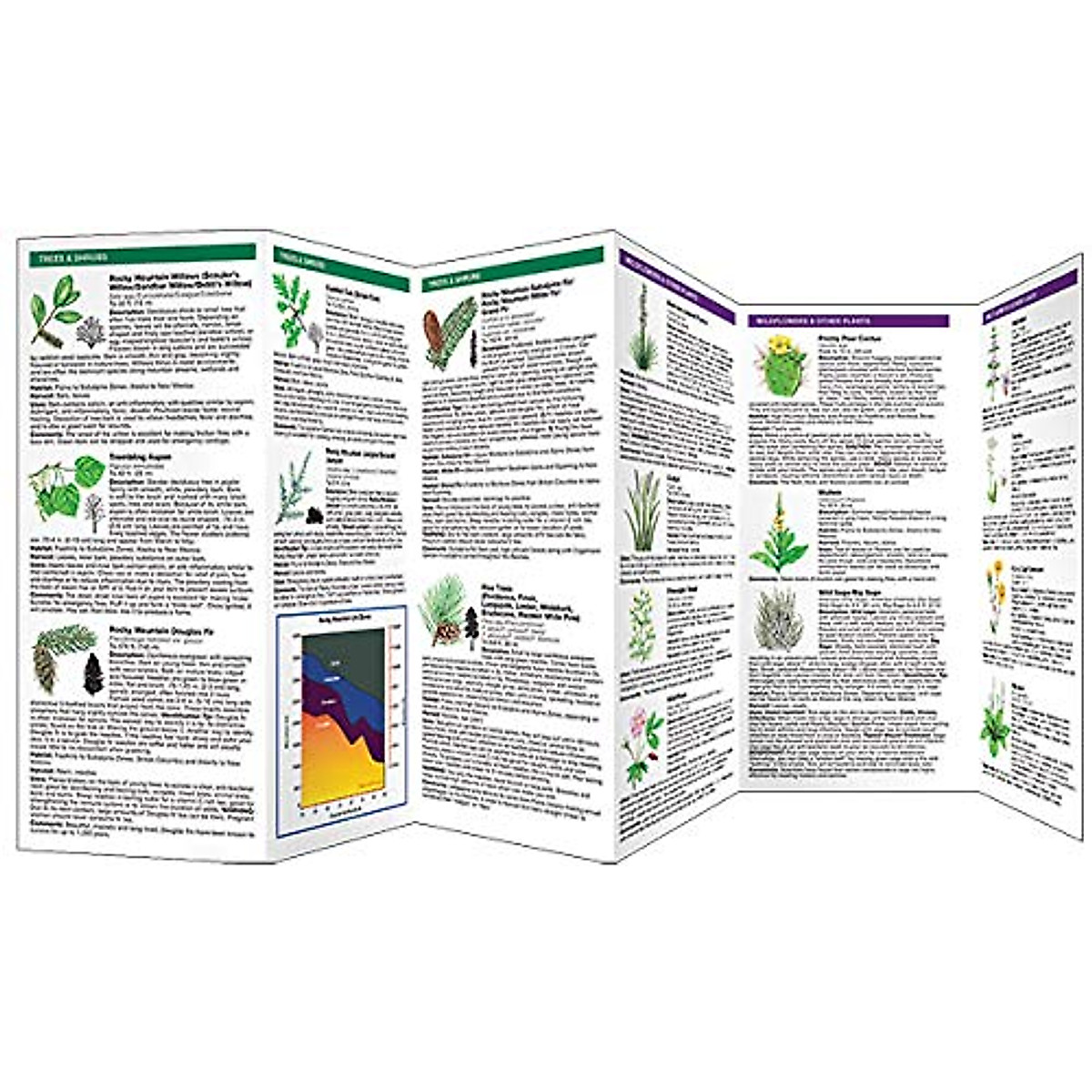 Medicinal Survival Plants of the Rocky Mountains: A Folding Pocket Guide to Familiar Species (Outdoor Recreation and Survival)