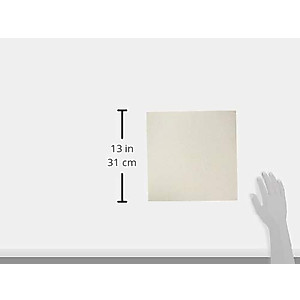 American Crafts Opulant Opal Coredinations Specialty Cardstock Silk 20 Pack of 12 x 12 Inch, Large Glitter