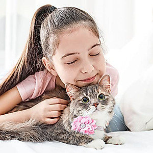 3 Pcs Rhinestone Cat Collars for Girl Cats Bling Kitten and Flower Adjustable Breakaway Collar with Bell Soft Velvet Shine Collar for Small Dogs Puppy (Pink, Blue, Purple, Flower Style)