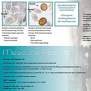 Microscope Kit for Fecal Egg Count, by Eggzamin. Accessories for Testing and How-to Guide to Test Your Animals for parasites Before deworming.