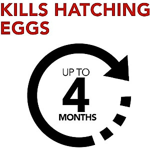 Raid Flea Killer Carpet and Room Spray 16 Ounce (Pack of 4)