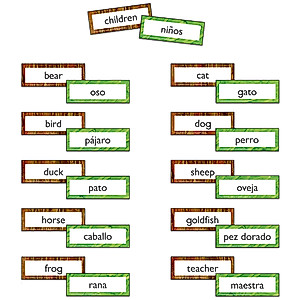 World of Eric Carle Spanish Flash Cards for Ages 3+, Bilingual English and Spanish Flash Cards for Kids with Color word Cards, Preschool and Kindergarten Spanish Flash Cards