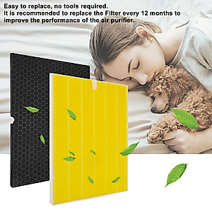 True Hepa Replacement Filter for Winix C555 I,H13 Grade Hepa Filter,Activeted Carbon Filter,Compares to Winix 116131,1 Pack