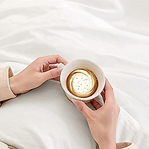 Dreamcountry Duvet Cover Oeko-TEX Certified Washed Cotton Duvet Cover Set 3 Pieces, Ultra Soft Bedding Comforter Cover with 2 Pillow Shams, Zipper Closure and Corner Ties(Queen, White)