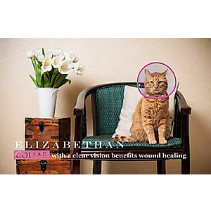 PETBABA Cat Cone Collar, to Stop Licking, Recovery Elizabethan After Surgery, Clear Soft Neck E-Collar, Not Block Vision, for Kitten Puppy Dog Pet in Surgery Remedy - S in Rose