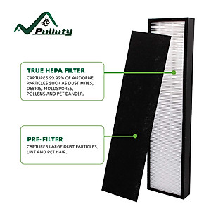 Pulluty FLT5000 Filter-C True Hepa Replacement Filter Compatible with Germ Guardian AC5000 Series Air Purifier AC5000E AC5250PT AC5300B AC5350W AC5350B CDAP5500 and Ldlyis Model IAP-GG-125, 2 Pack