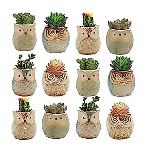 Weierken 12PCS Owl Pot Ceramic Flowing Glaze Base Serial Set Mini Succulent Plant Pot Cactus Plant Pot Container Planter Bonsai Pots with A Hole