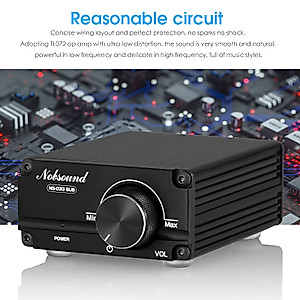 Nobsound 100W Full Frequency Mono Channel Digital Power Amplifier Audio Mini Amp (Black)