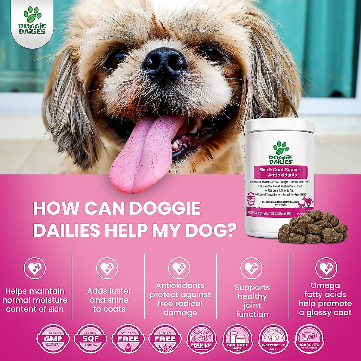 Doggie Dailies Skin & Coat Supplement + Antioxidant Support, 225 Soft Chews, Salmon Oil for Dogs Skin and Coat with Collagen, Omega 3, Krill Oil, Biotin, & Coconut Oil for Dogs