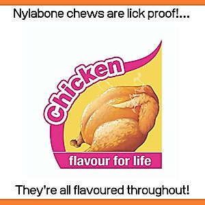 Nylabone Puppy Chew Gentle Chewing Puppy Antler Alternative Chicken Flavored Dog Chew Toy, Petite