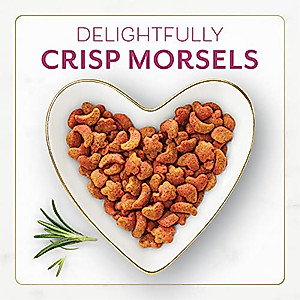 Purina Fancy Feast Dry Cat Food Filet Mignon Flavor with Seafood and Shrimp - 7 lb. Bag