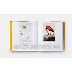 Bird: Exploring the Winged World