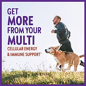 New Chapter Men’s Multivitamin Gummies, 66% Less Sugar, Men’s Gummy Vitamins with Vitamin C, D3 & Zinc, Non-GMO, Gluten Free, Berry-Citrus, 75ct