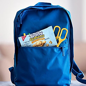 Teddy Grahams Honey Graham Snacks, 48 Total Snack Packs (4 Boxes)