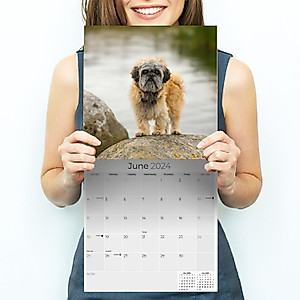 2023 2024 Shih Tzu Calendar - Dog Breed Monthly Wall Calendar - 12 x 24 Open - Thick No-Bleed Paper - Giftable - Academic Teacher's Planner Calendar Organizing & Planning - Made in USA