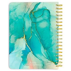 Crackled Blush | 2024 6 x 7.75 Inch 18 Months Weekly Desk Planner | Foil Stamped Cover | July 2023 - December 2024 | Plato | Planning Stationery