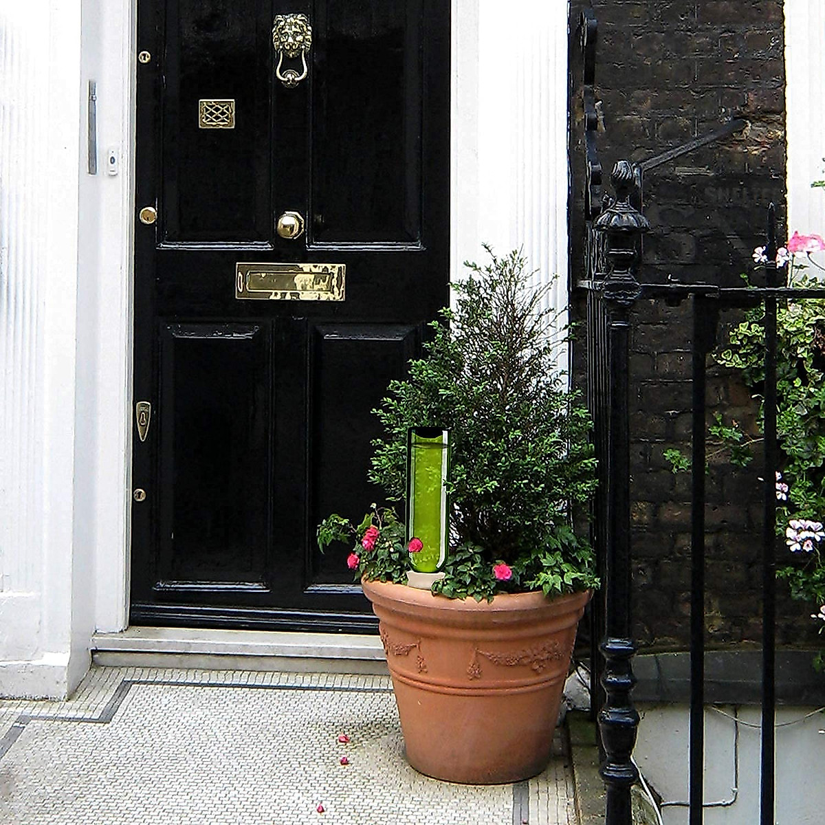 Slow Seep White Terracotta Vacation Plant Waterer 8 Pack Self Watering Stakes for Outdoor and Home Plants