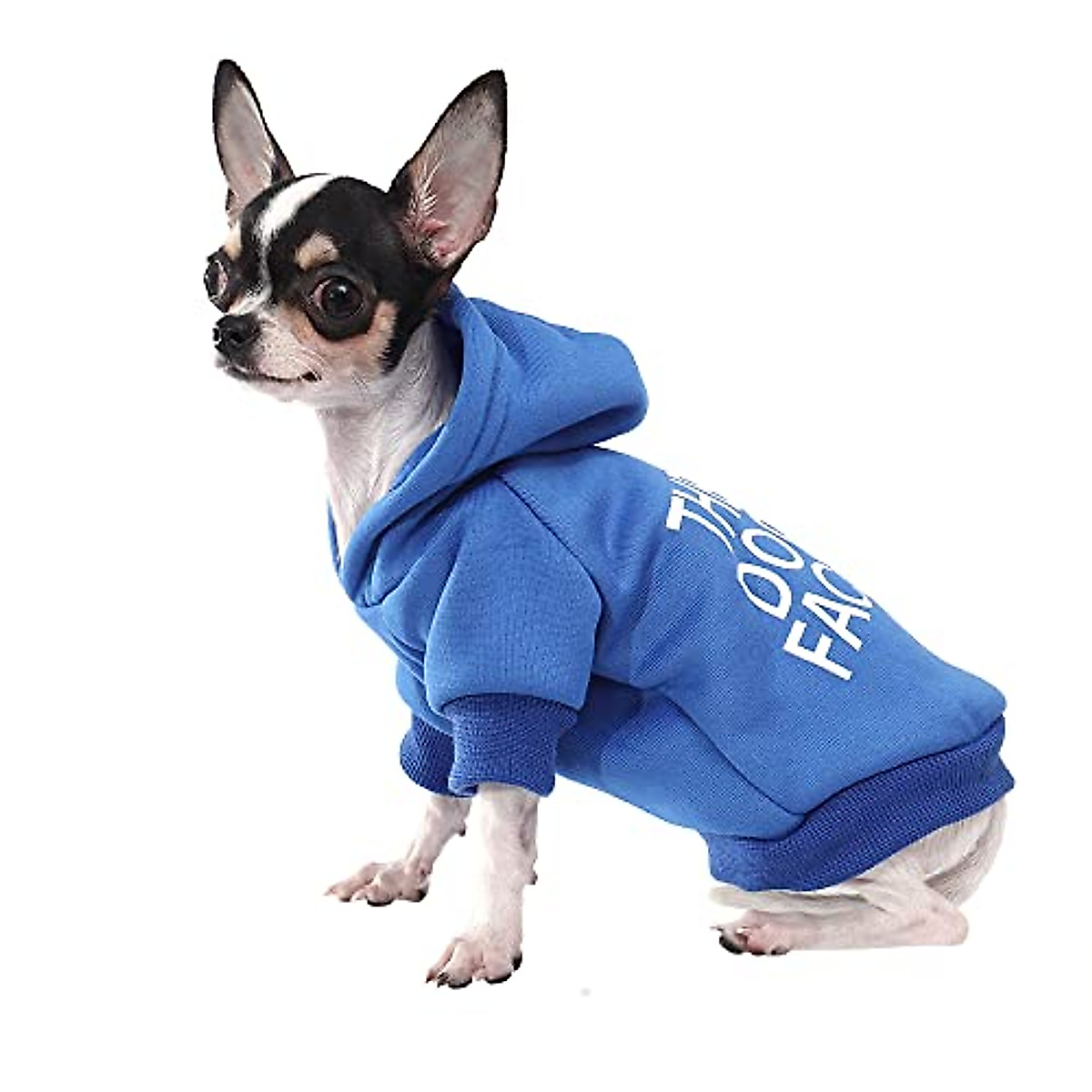 Hozz Chihuahua Dog Hoodie Clothes Cute Small Sweatshirt Warm Clothes Sweaters for Puppy Dogs Blue L