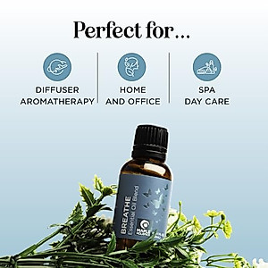Breathe Essential Oil for Diffuser - Invigorating and Refreshing Breathe Essential Oil Blend with Eucalyptus Peppermint Tea Tree and Mint for Diffusers for Home and Shower Aromatherapy (1 Fl Oz)