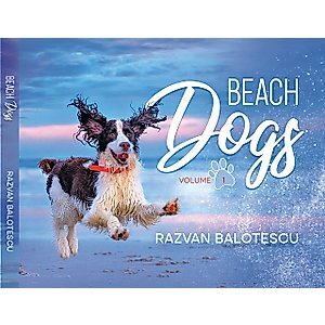 BEACH DOGS: A Coffee Table Photography Book of Joy for Dog Lovers