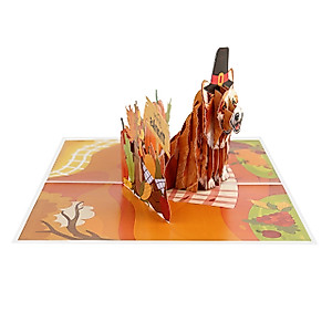 iGifts And Cards Thanksgiving Blessings with Corgi 3D Pop Up Card - 6x8 Greeting Card with Envelope & Notecard, Cornucopia of Thanks, Holiday Season, Autumn Harvest, Gratitude Gift for Dog Lovers